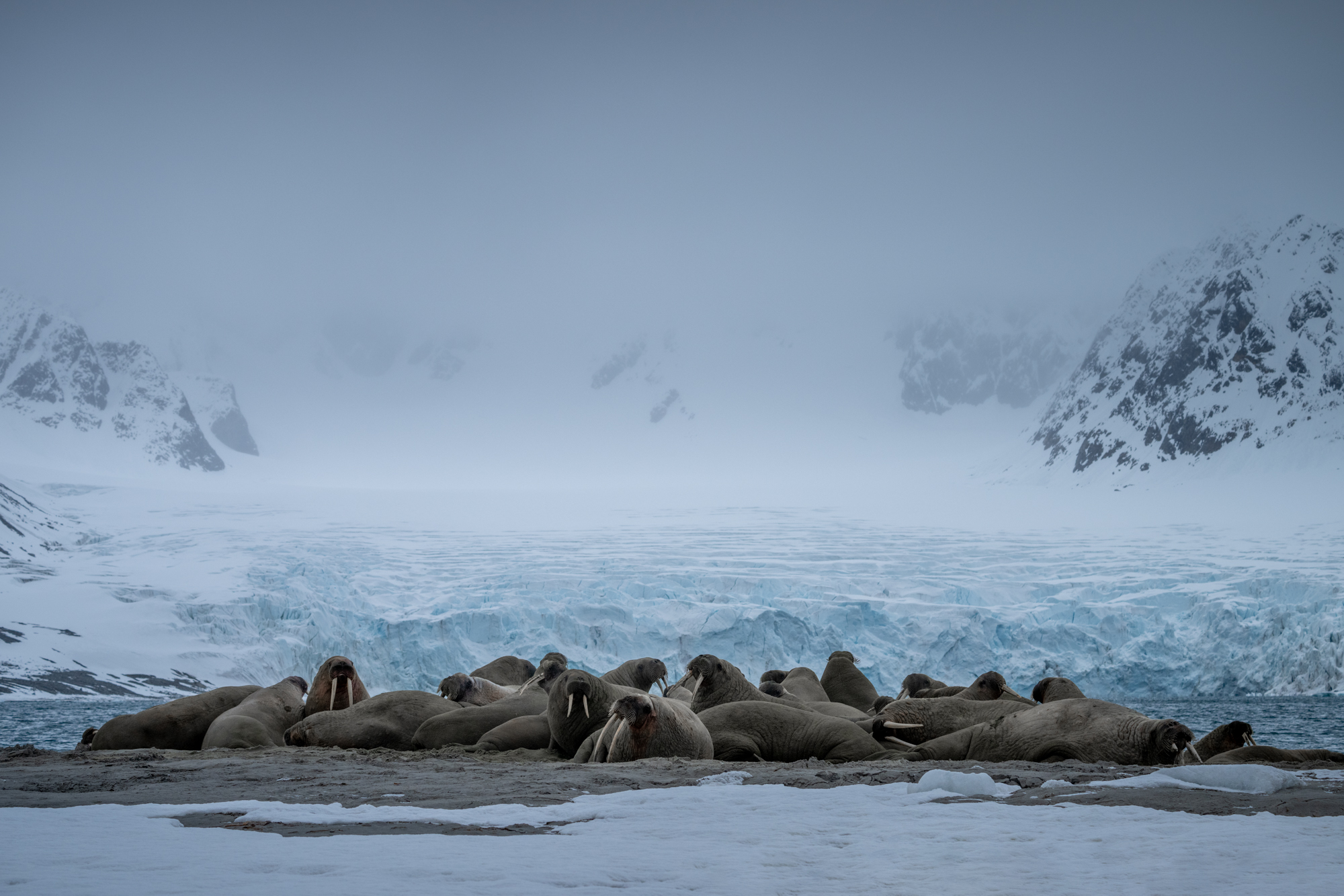 Svalbard MK II – Thomas Heaton Photography