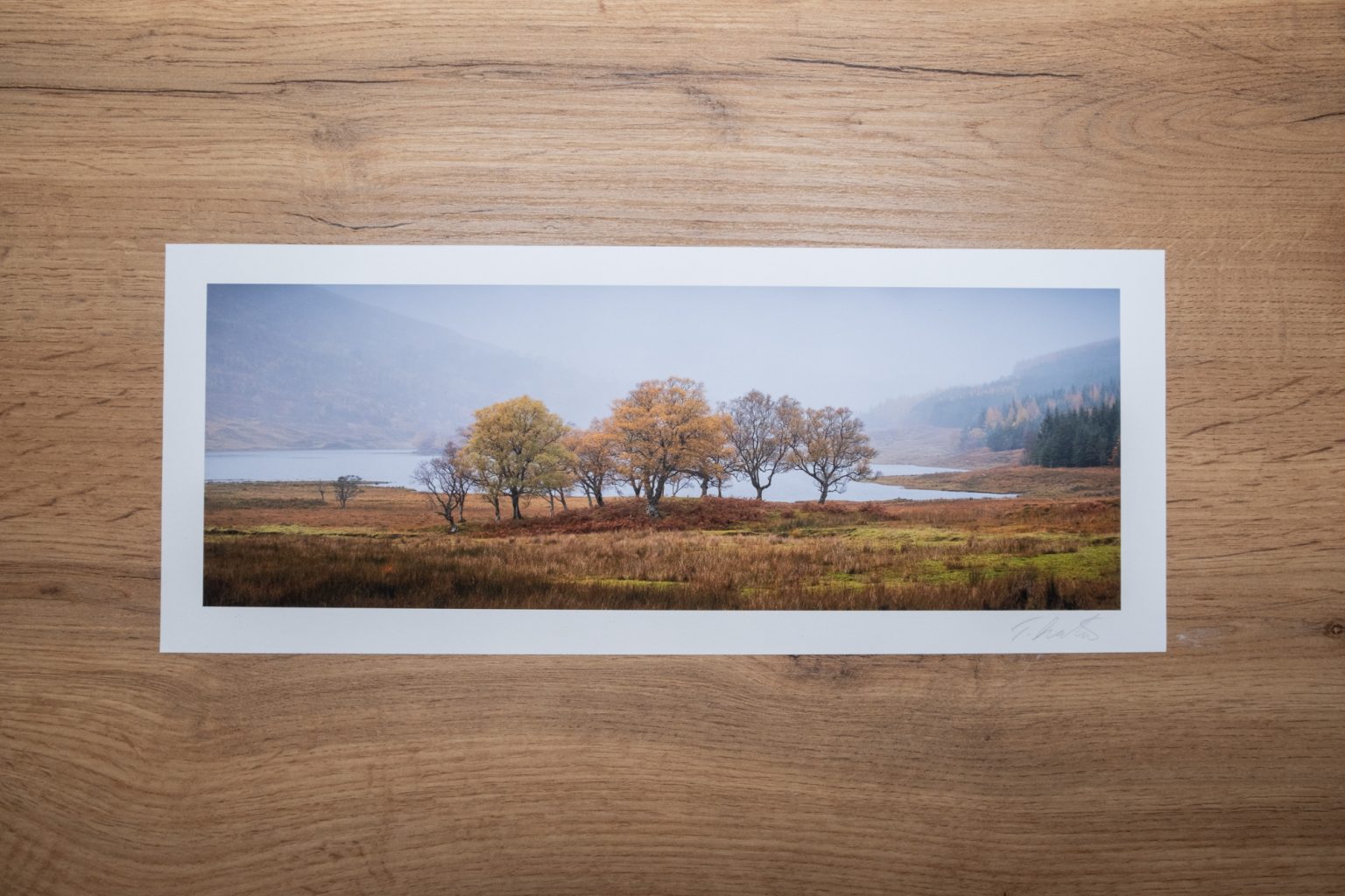 Print – Autumn Trees Panoramic – Thomas Heaton Photography